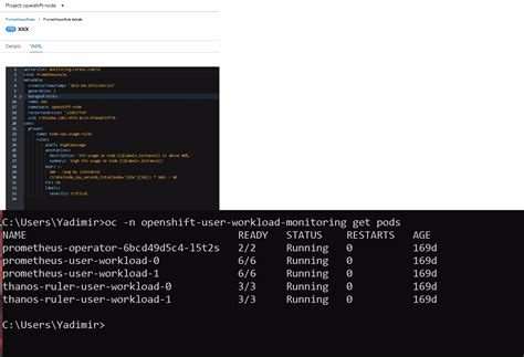Issues With Openshift Prometheus Red Hat Learning Community