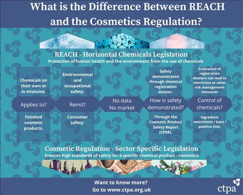 What Is Reach Regulation At Troy Haynes Blog