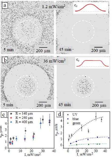 Optical Micrographs Of Nonporous Silica Particles Under Exposure To Download Scientific Diagram