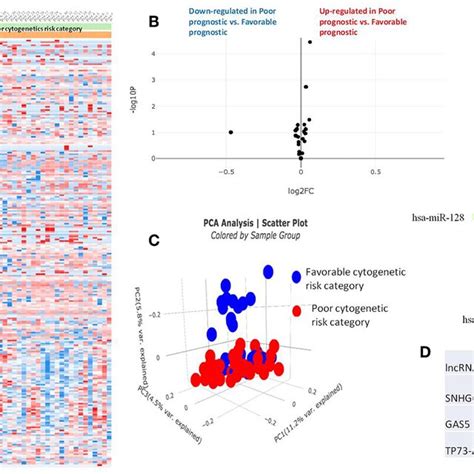 A Heat Map Comparing The Expression Level Of Lncrnas In Favorable Vs Download Scientific