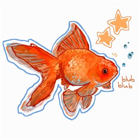 How To Draw Fish Pinterest
