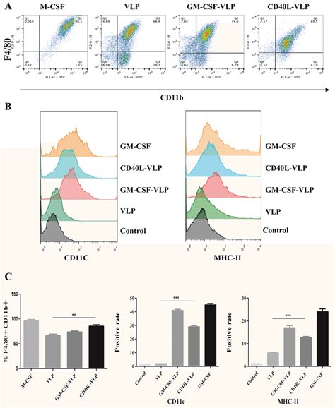 Flow Cytometry Assay Of Macrophages And Dcs Stimulated By Cd40l Vlp Or Download Scientific