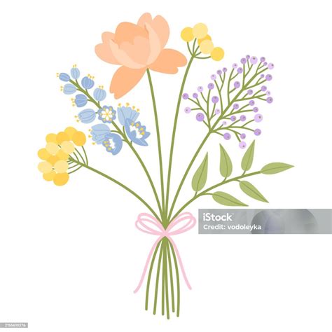 야생화의 꽃다발입니다 꽃 벡터 그림입니다 리본으로 묶인 꽃 초원 허브 디자인 프로젝트를 위한 야생 식물 0명에 대한 스톡 벡터 아트 및 기타 이미지 Istock
