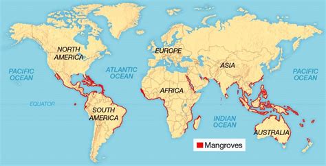 أهمية وفوائد إنتاج أشتال نباتات القرم ” المانغروف ” في مختبرات زراعة