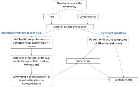 Cardiac Symptoms Chart