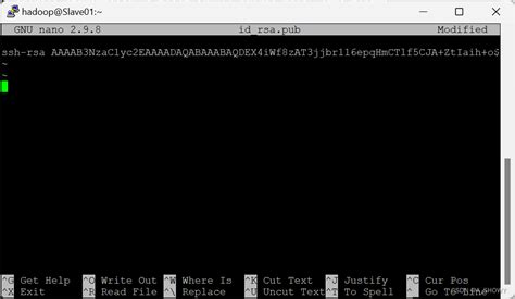 启动 Aws Academy Learner Lab【教学】（hadoop实验） Csdn博客