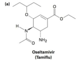 Solved A Nh2 Oseltamivir Tamiflu