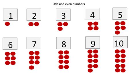 Odd And Even Numbers Artofit