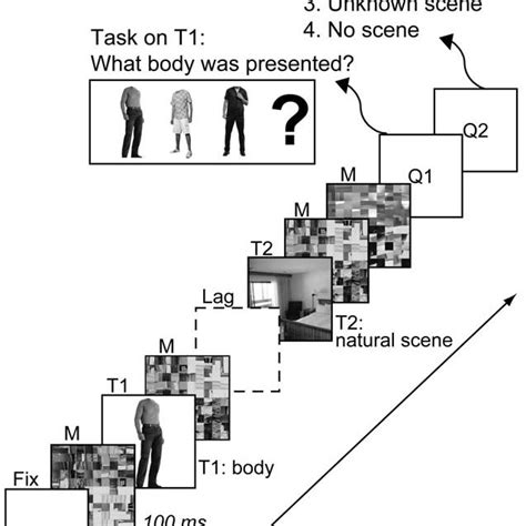 The Attentional Blink Task Example Of A Trial Download Scientific Diagram