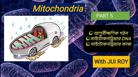 Mitochondria মাইটোকন্ড্রিয়া Mitochondria Class 9 Mitocondriya Class11