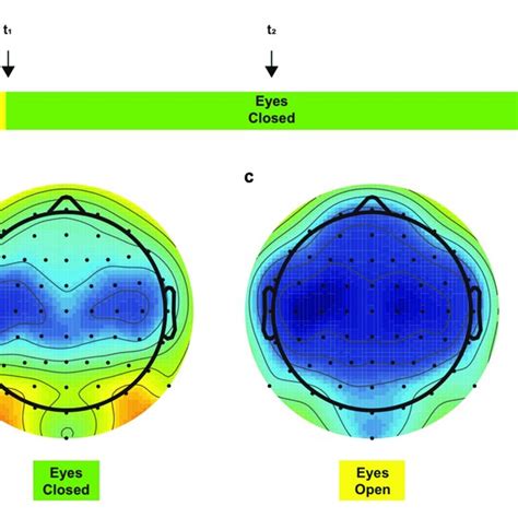 Resting State Eeg Recording Protocol A This 24 Min Experiment