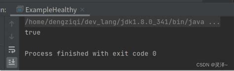 （十一）java操作influxdbinfluxdb Java Csdn博客