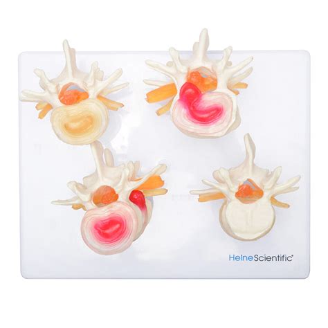 Heinescientificde Heinescientific