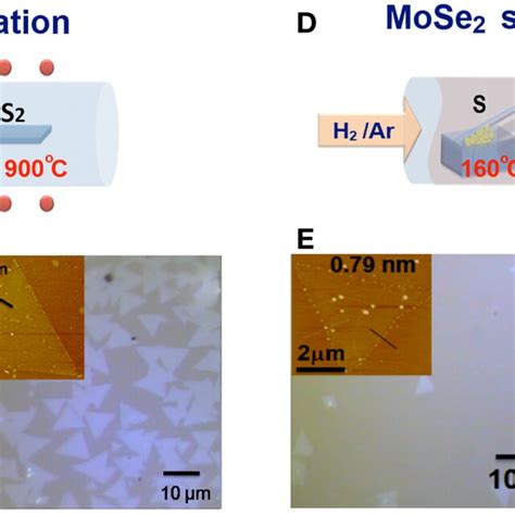 Ad Schematic Illustration Of The Experimental Set Up For The Download Scientific Diagram
