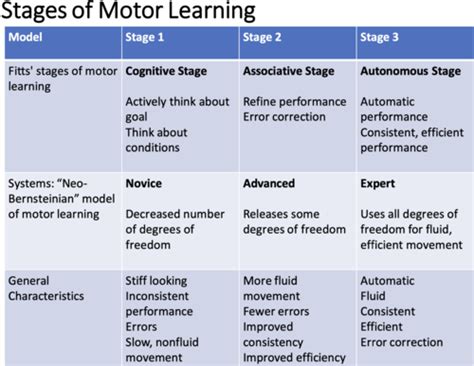 Motor Learning Task Analysis Stages Of Learning And Control Flashcards Quizlet