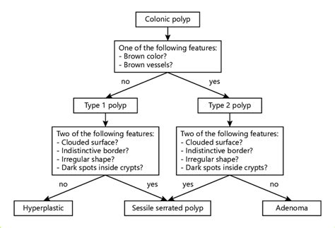 Wasp Classification Adapted From Ijspeert Et Al [15] Download