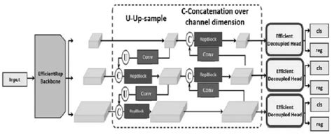 Figure 3 From Enhancing Skin Disease Diagnosis Through Convolutional Neural Networks And Yolo V8