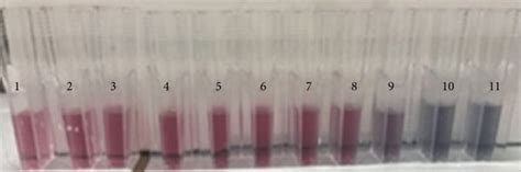 Characterization Of Synthesized Aunps Conjugated With Antibody A A