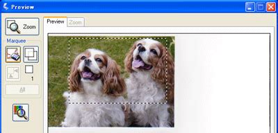 Selecting Epson Scan Settings