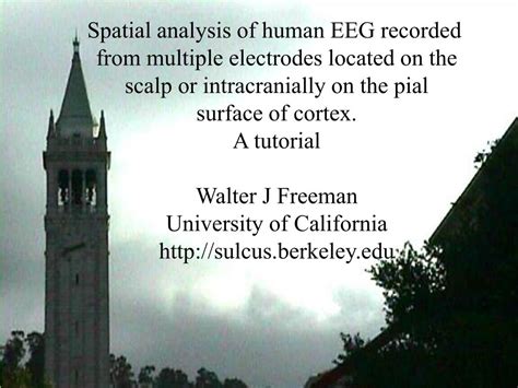 Ppt Tutorial On Spatial Analysis Of Human Eeg Powerpoint Presentation