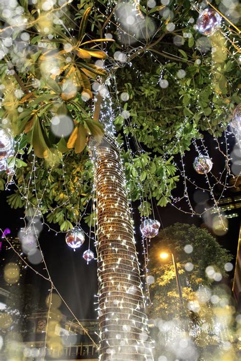 Close Up Background Image Of Decorated Trees With Colorful Light Stock Image Image Of