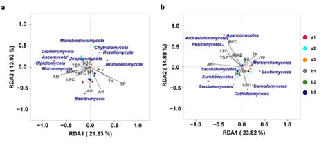 Redundancy Analysis Rda Ordination Plots Demonstrate The Relationship