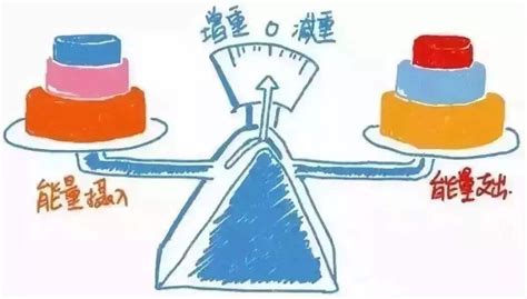 各位能给点好的减肥建议吗 知乎