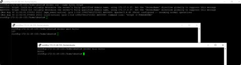 What Is The Use Of “docker Wait” Commands With Example And Image