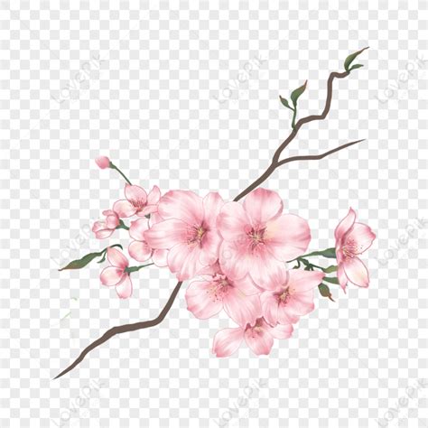 핑크 벚꽃 일러스트 잎 수채화 물감벚꽃 나무작은 가지 Png 일러스트 무료 다운로드 Lovepik