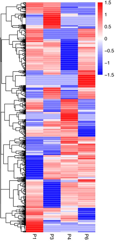 Circular RNA Sequencing CircRNA Seq Novogene