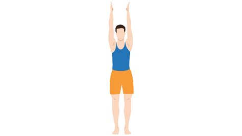 Upward Salute Pose Urdhva Hastasana Raised Hands Pose Gym Geek