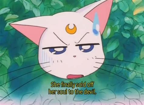 Artemis Sailor Moon Quote Artemis Sailor Moon Quote