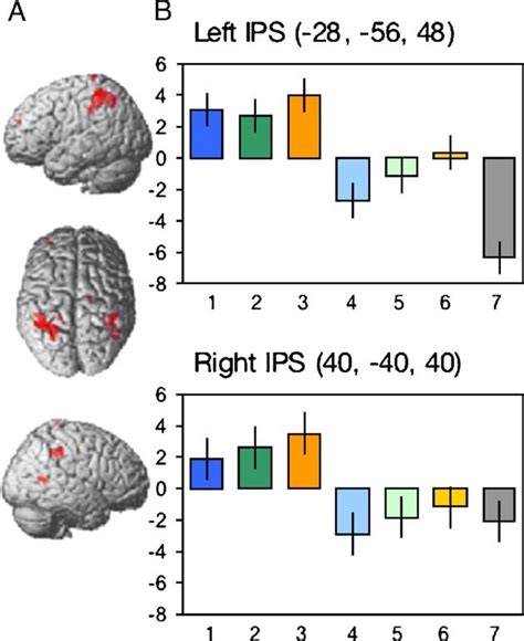 A Results From The Conjunction Analysis Identifying The Brain Regions Download Scientific