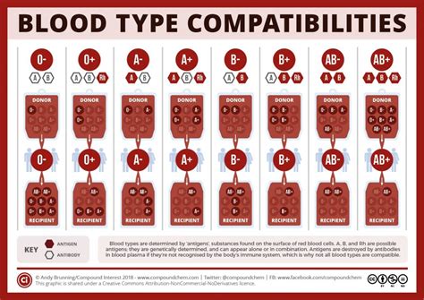 Whats Your Type Why You Need To Know Your Blood Type Hued
