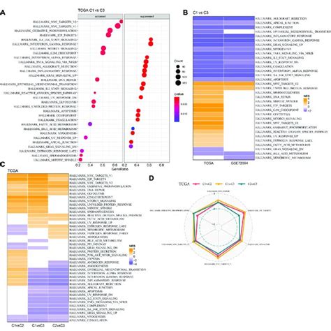 Clinicopathological Properties Of Molecular Subtypes A The Download Scientific Diagram