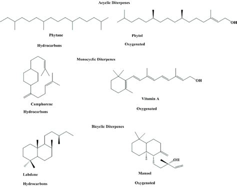 9 Structure Of Diterpenes Download Scientific Diagram