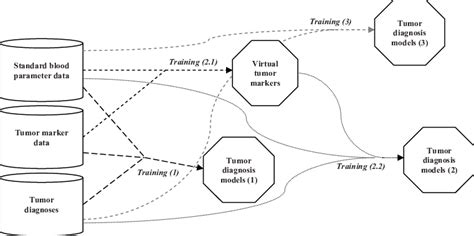Main Modeling Tasks Addressed In This Research Work For Identifying Download Scientific Diagram
