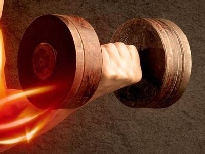 What Are Lean Bulk Macros Vitality Fitness Delivered