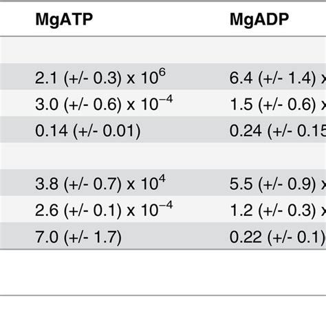 Spr Derived Rate And Equilibrium Binding Constants Of The Interaction