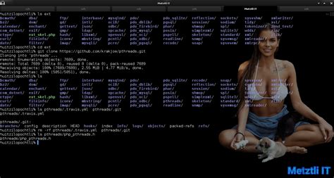 metztli reiser4 php debian php 7 3 10 php7 3 7 3 10 1 zts phtreads