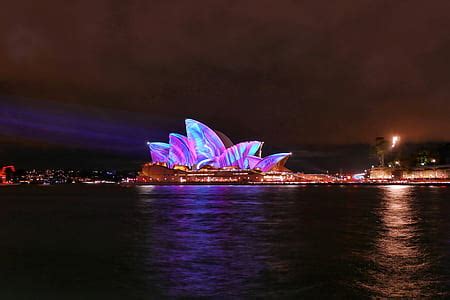 332 Royalty Free Vivid Photos Pickpik