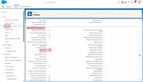 Erro Depois De Conectar E Entrar No Salesforce CRM Copilot For Sales