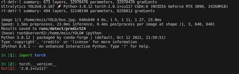 Rt Detr Inference Run Is Giving Strange Error Datatype Error · Issue