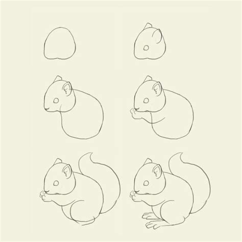 How To Draw A Squirrel Step By Step Tutorial