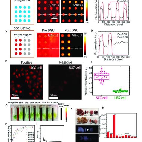 The Microarray Assay Screening Method Developed To Test The Download Scientific Diagram