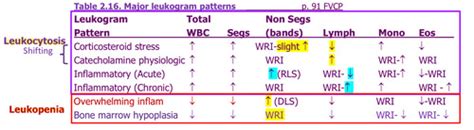Interpreting Leukocytosis Patterns Flashcards Quizlet