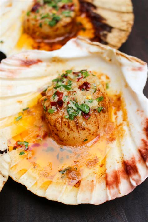 Grilled Scallops In The Shell Over The Fire Cooking