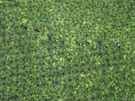 设计素材正版商用设计素材 矢量素材图片购买 100image官方网站