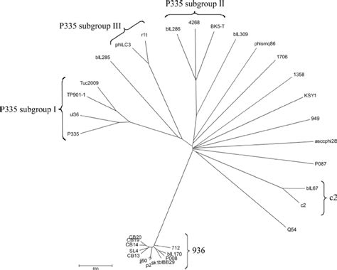 Comparison Of The Lactococcal Phage Complete Proteome And Phylogenic Download Scientific