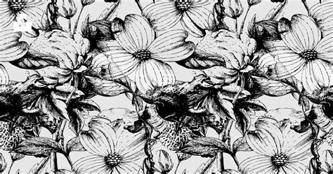 아름 다운 흑백 꽃무늬가 그려져 있습니다 벡터 Unsplash의 무료 꽃 이미지